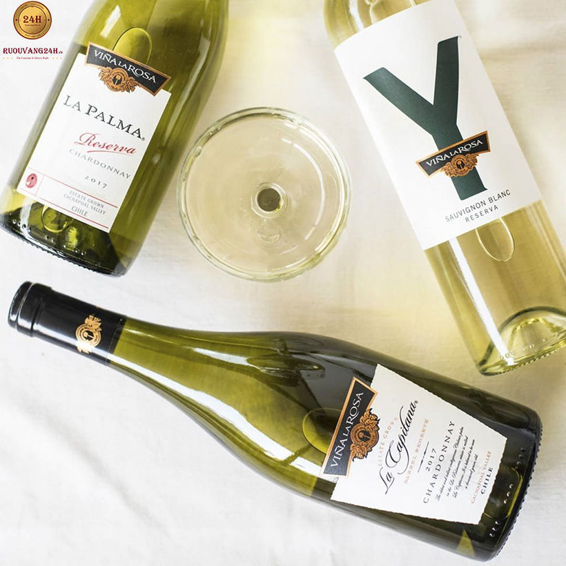 Tìm Hiểu Về Rượu vang Viña La Rosa - Rượu Vang 24H