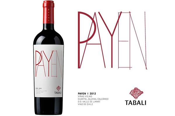 TOP 5 CHAI RƯỢU VANG CHILE NGON NHẤT - Rượu Vang 24H