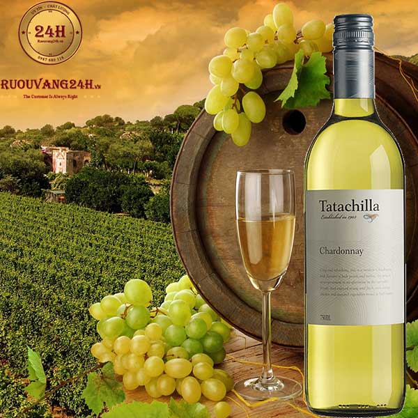 Rượu Vang Tatachilla Chardonnay - Rượu Vang 24H
