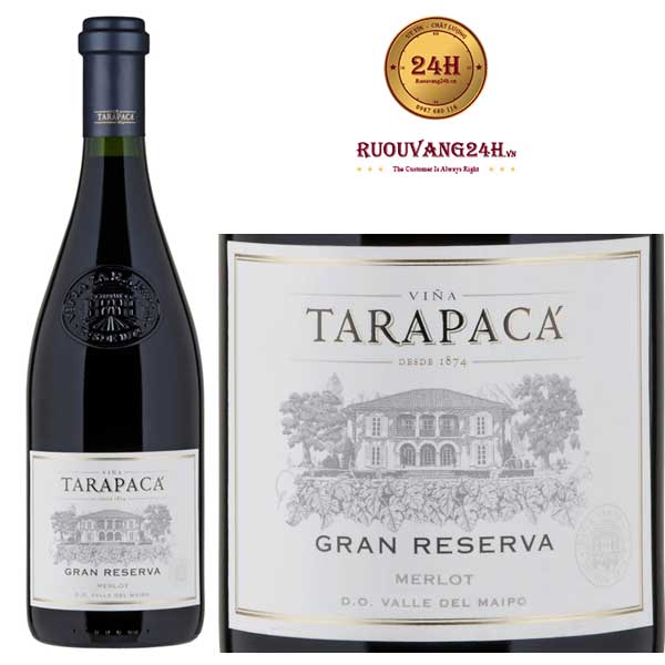 Rượu vang Tarapaca Gran Reserva Merlot - Rượu Vang 24H