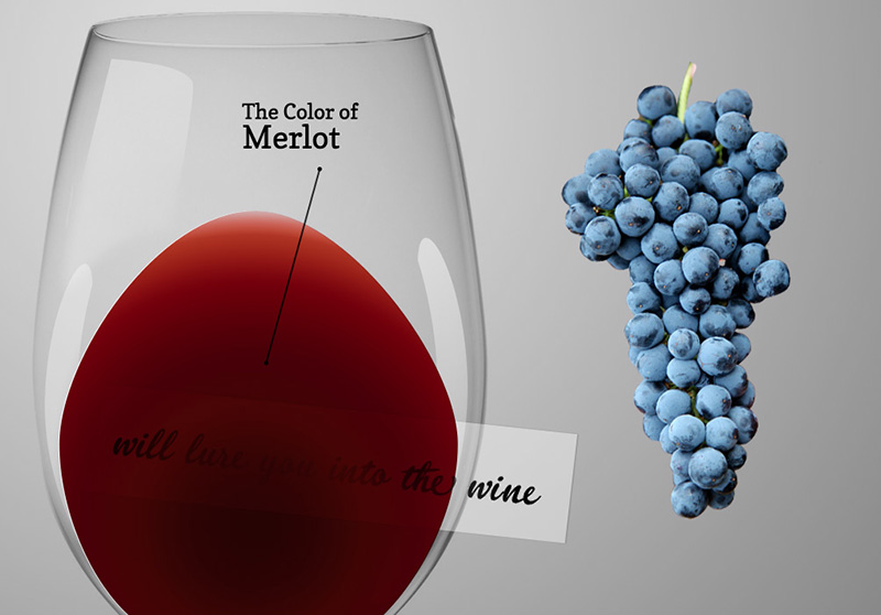 Rượu Vang Nho Merlot - Rượu Vang 24H